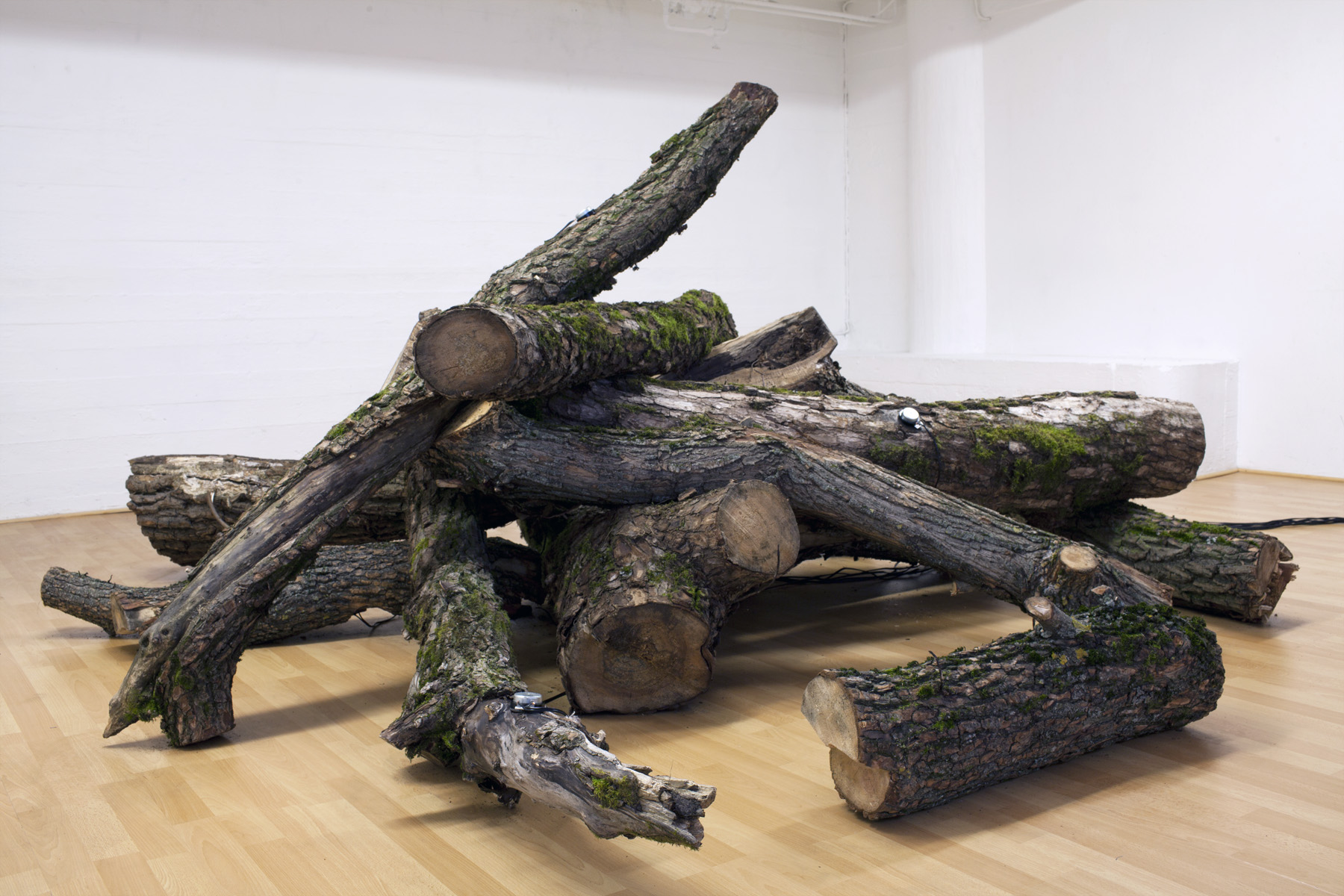 Treverk (3) | JOAKIM BLATTMANN